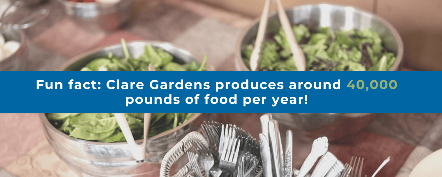 The Story of Clare Gardens - Trinity Senior Services